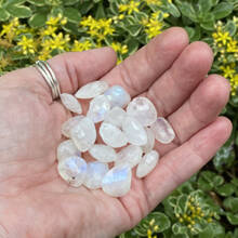 Moonstone vs. Rainbow Moonstone – Daisy Chains Jewelry